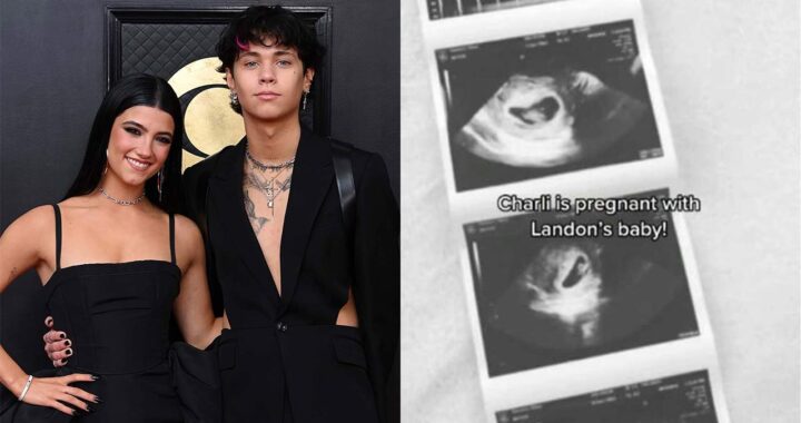 Melissa and Daniel TikTok Video Explored: What is the whole case about ...