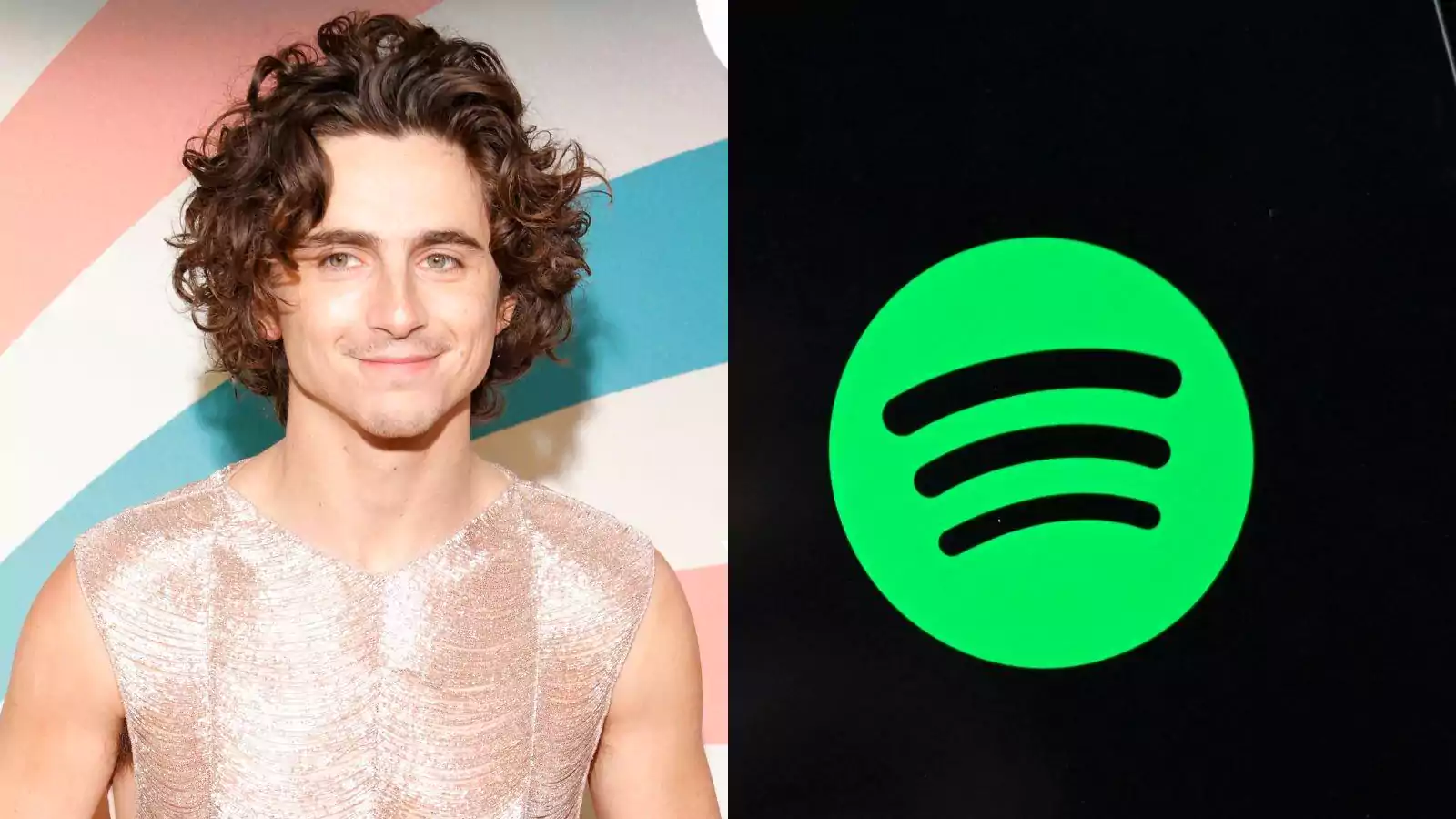 Spotify's Imaginary Gag City Celebration: Timothée Chalamet Featured in ...